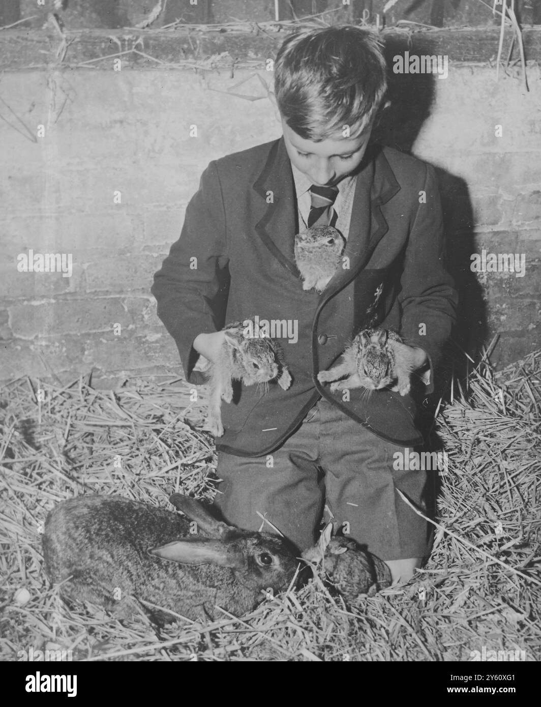 Graham turner hi-res stock photography and images - Alamy