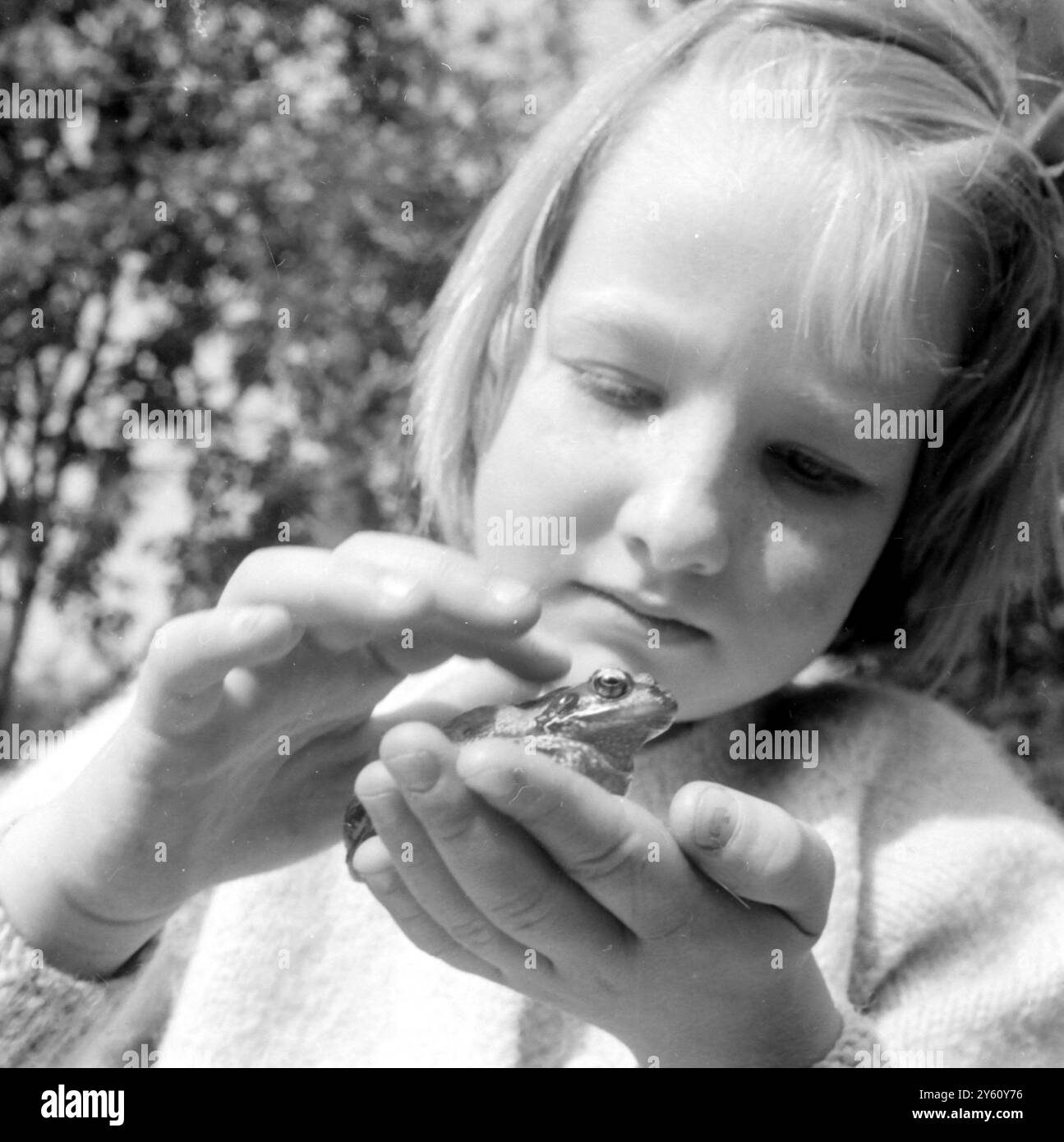 J frog Black and White Stock Photos & Images - Alamy