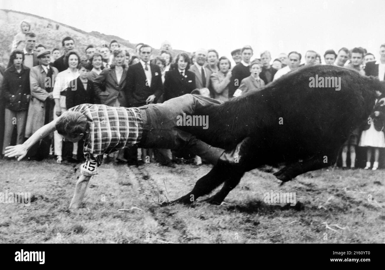 RODEO DARTMOOR SKELLEY FALLS OFF STEER 26 SEPTEMBER 1960 Stock Photo ...