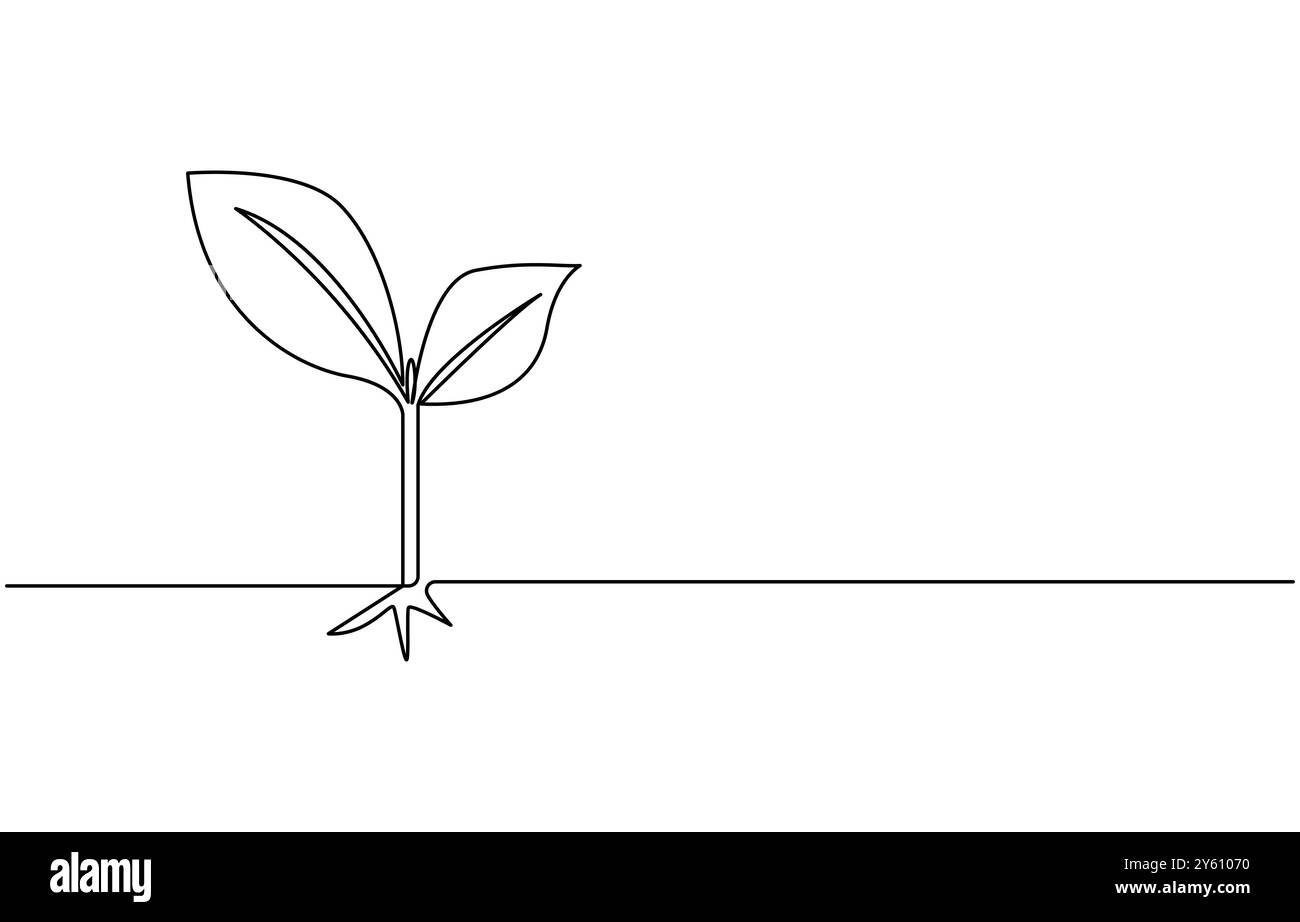 One line plant growth Black and White Stock Photos & Images - Alamy