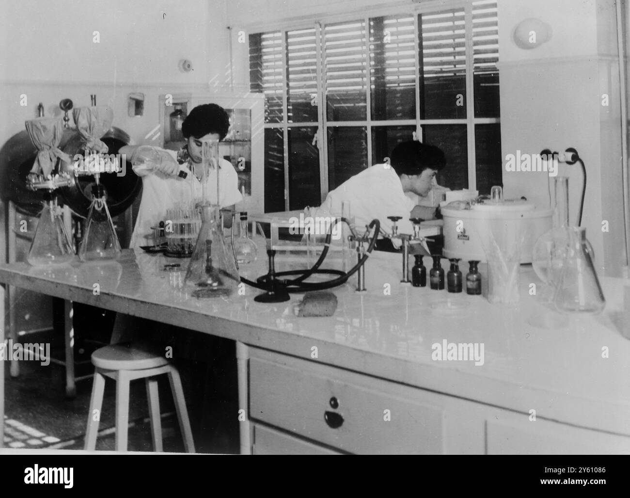 GREECE PRODUCES EPIZOOTIA VACCINE - LABORATORY 22 SEPTEMBER 1960 Stock ...