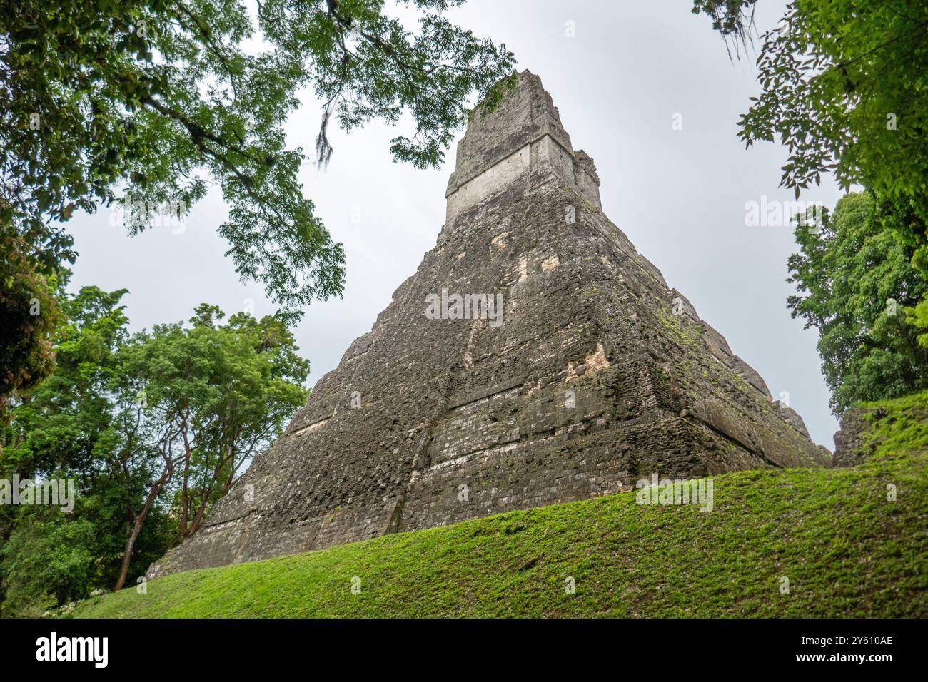 The ancient Mayan pyramid of Tikal Temple I surrounded by lush greenery ...