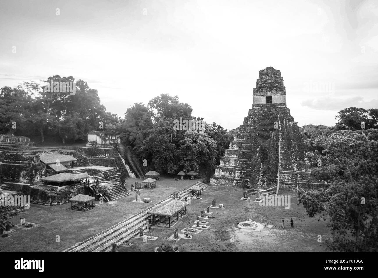 Black and white photo of the ancient Mayan ruins at Tikal, Guatemala ...