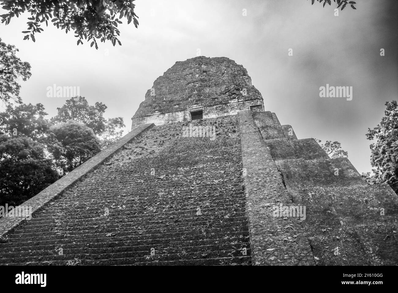 A black and white photograph of an ancient Mayan pyramid in Tikal ...