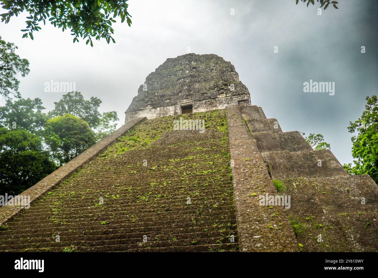 Ancient Mayan pyramid temple in Tikal, Guatemala, surrounded by lush ...