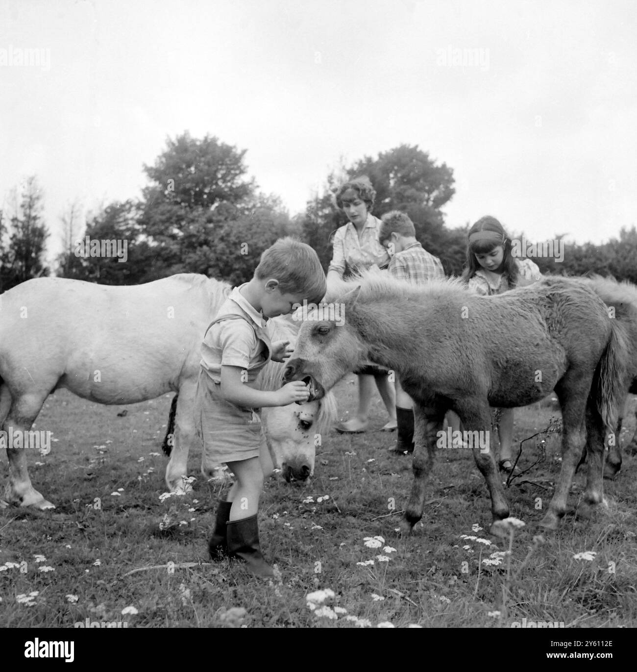 LARCOMBE LINDA LARCOMBE MARK / 15 SEPTEMBER 1960 Stock Photo - Alamy