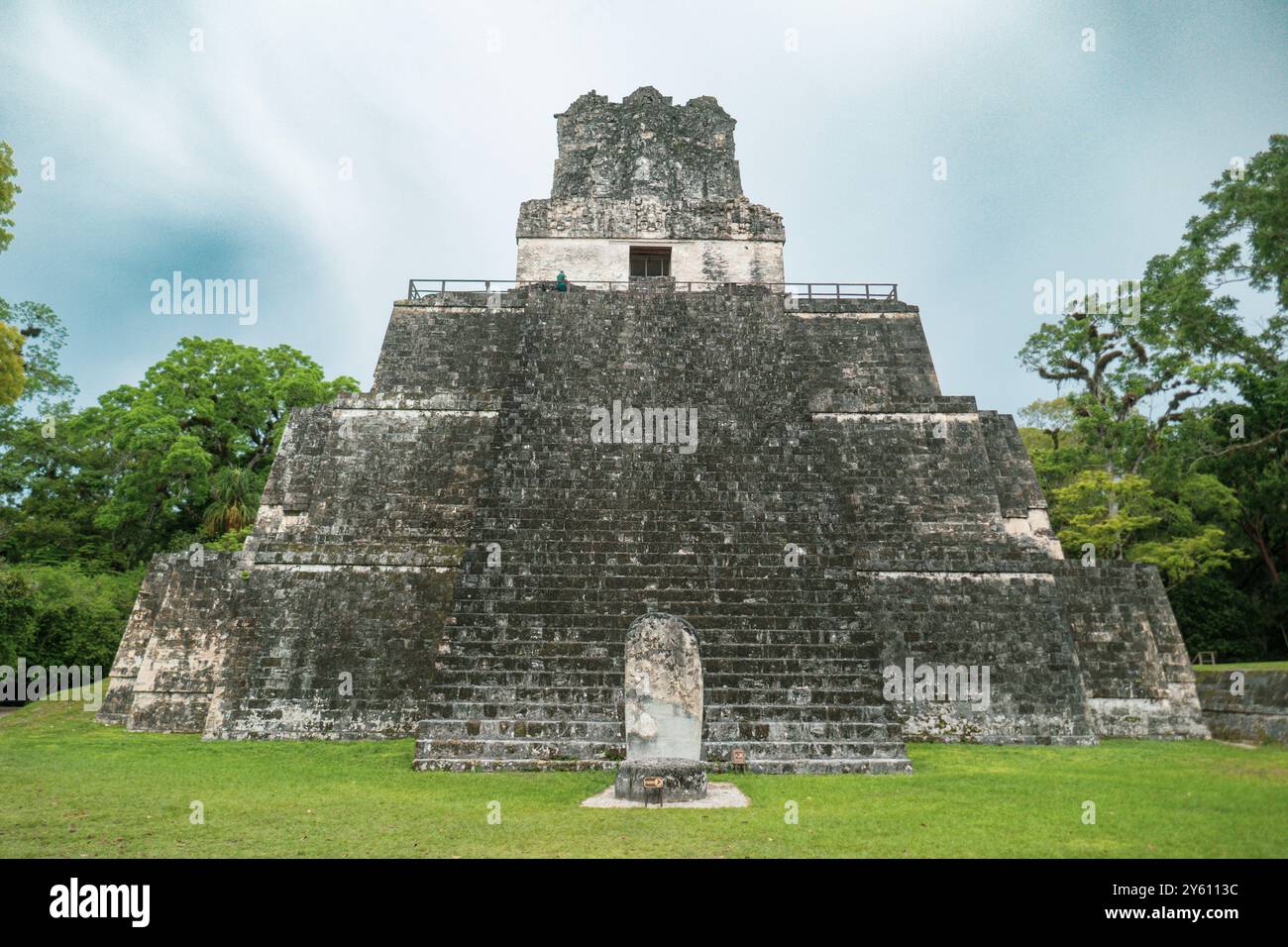 A stunning view of Tikal Temple in Guatemala with lush greenery and a ...