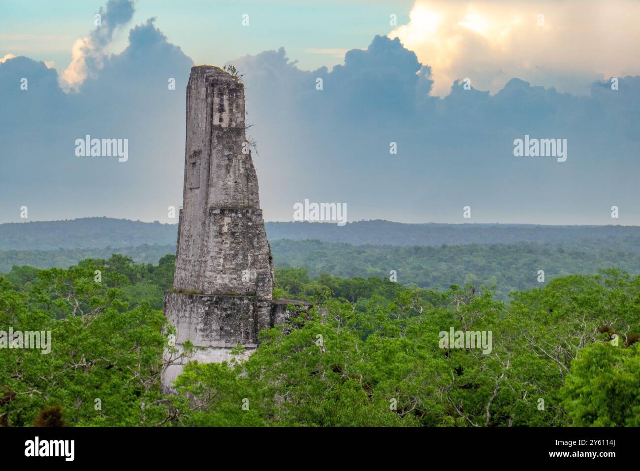 A view of Temple IV at Tikal, Guatemala, surrounded by lush green ...
