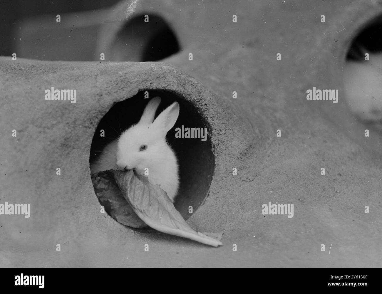 19 august 1960 Black and White Stock Photos & Images - Alamy