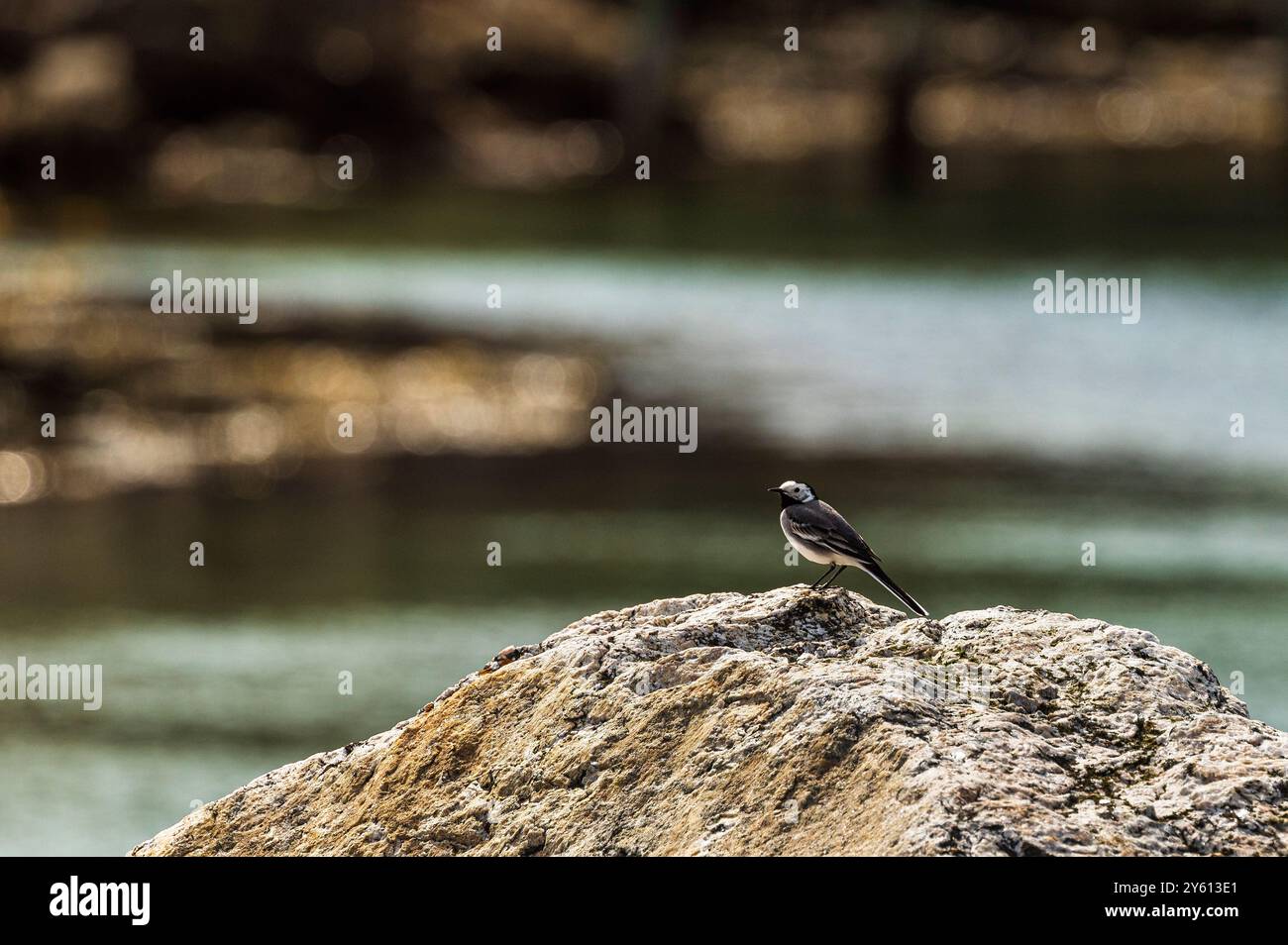 nature sceneries inside the island of Sommaroy, Tromso municipality ...