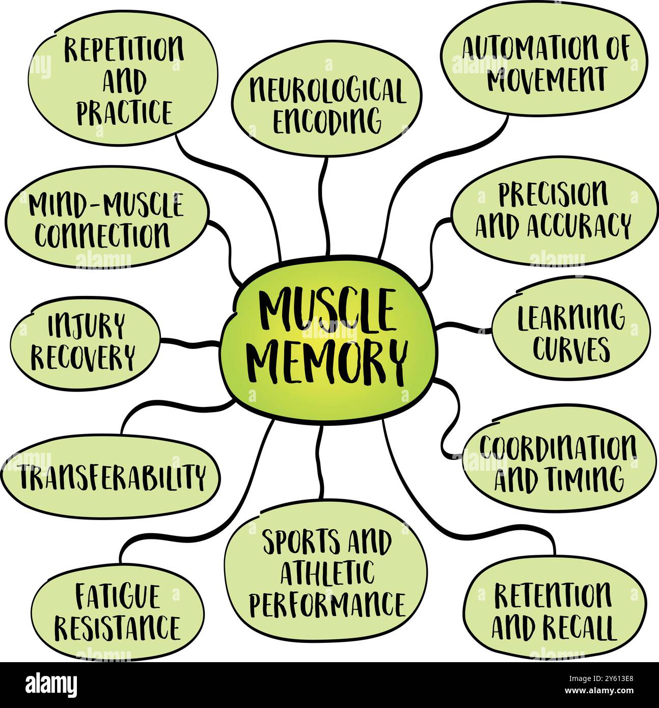 Muscle accuracy Cut Out Stock Images & Pictures - Alamy