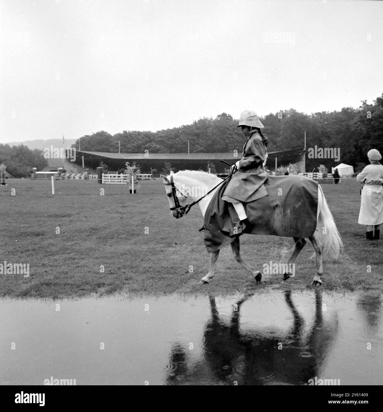 HORSE SHOWS BRIGHTON HORSE SHOW 11 AUGUST 1960 Stock Photo - Alamy