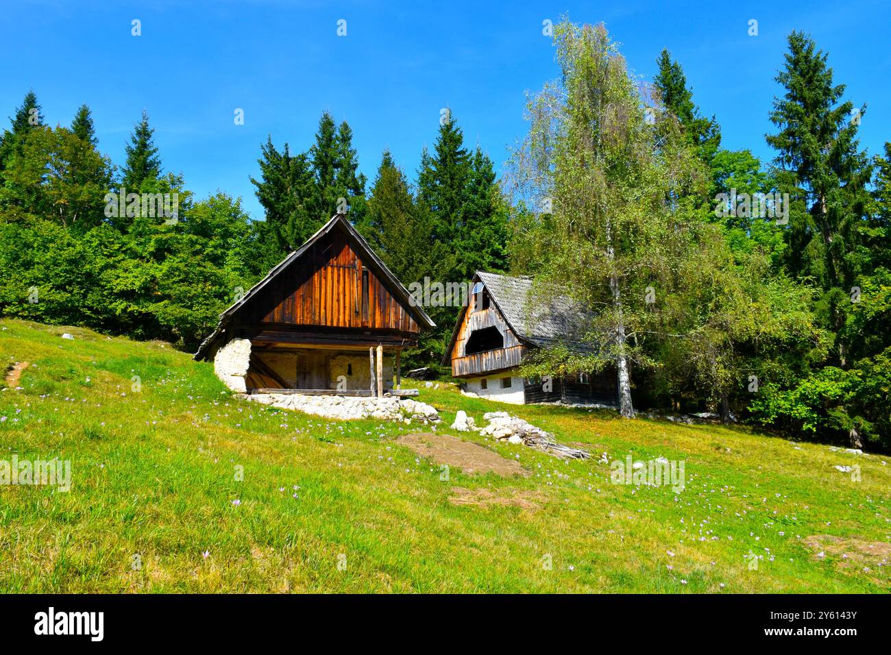 Meadow with traditional shepard huts architecture at Vogar alpine ...