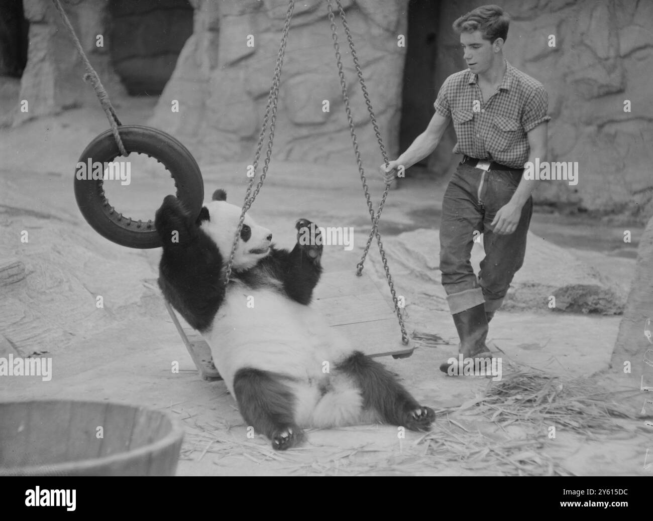 DAY ROBERT LONDON ZOOKEEPER WITH GIANT PANDA CHI-CHI / 27 JULY 1960 ...