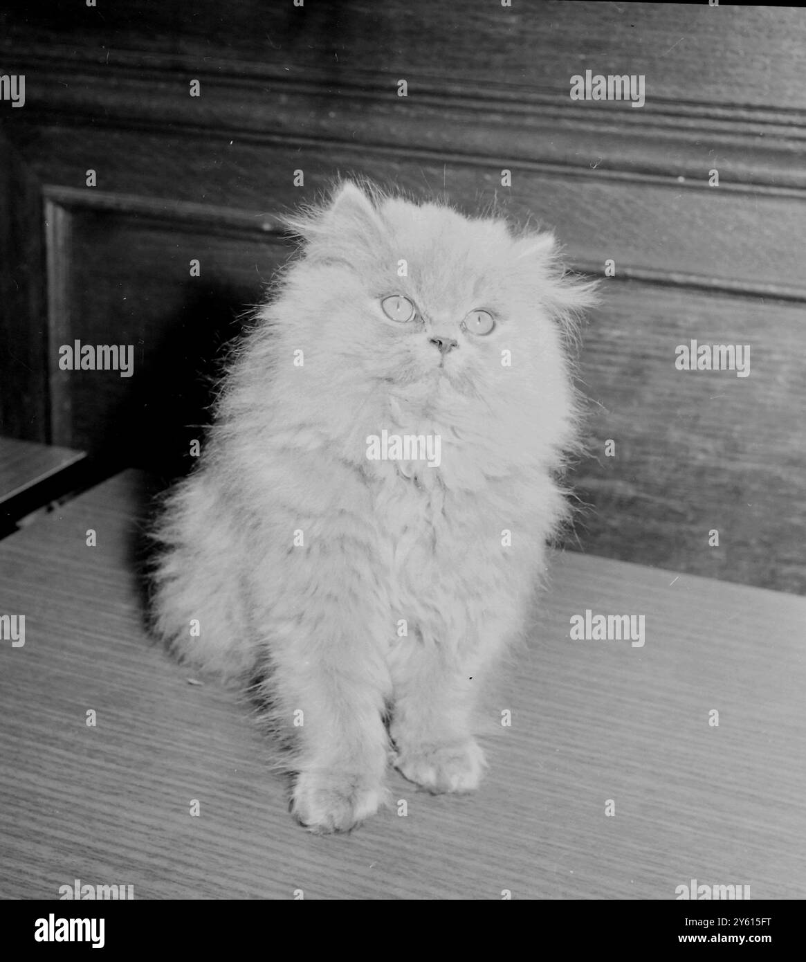 28 july 1960 hi-res stock photography and images - Alamy