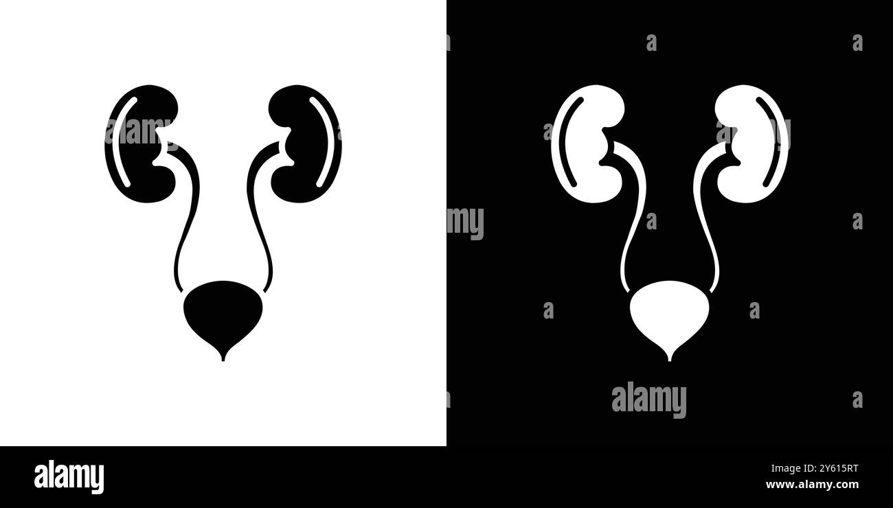 Urinary system icon vector logo set collection or bundle pack group ...