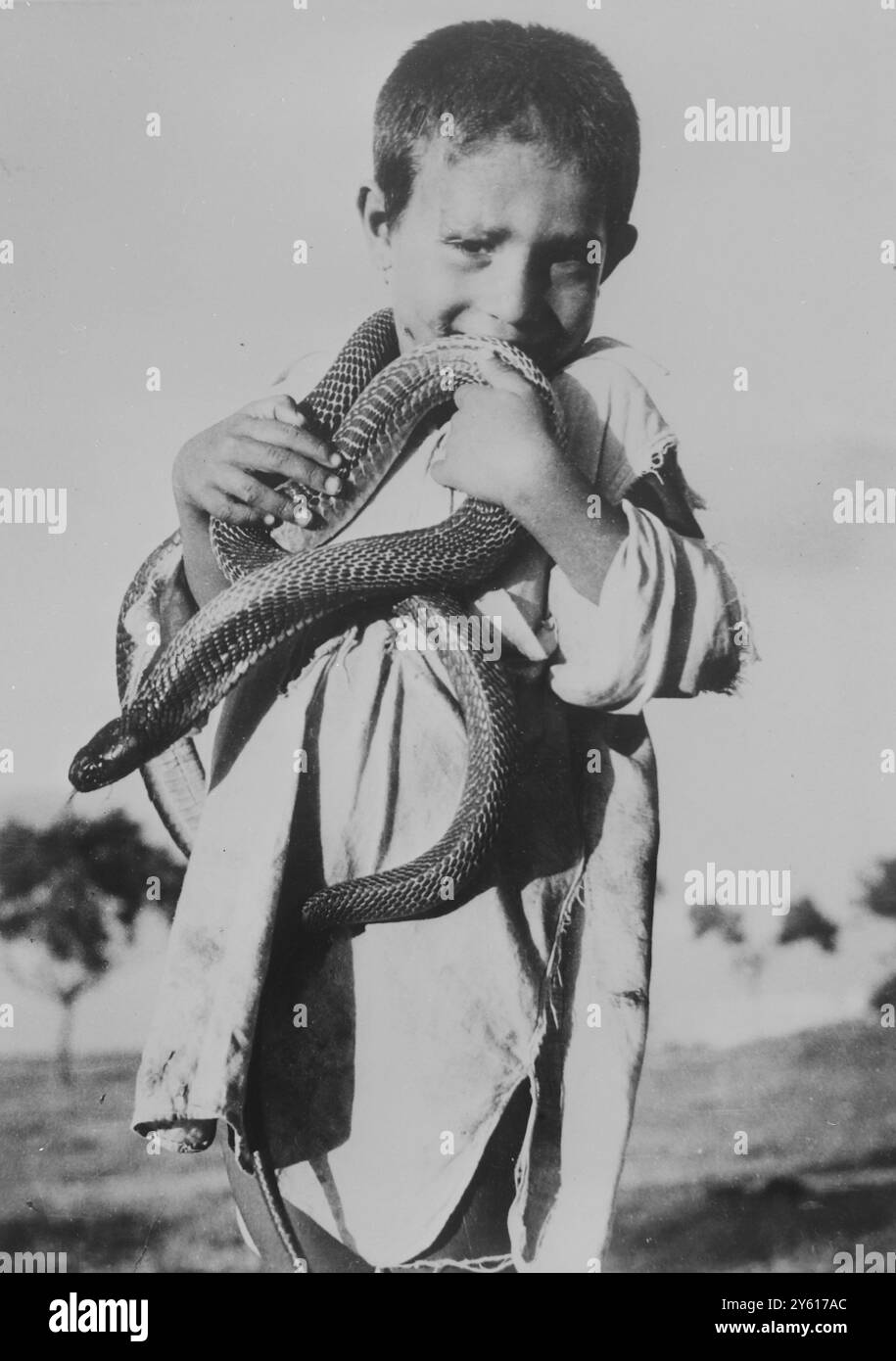 REPTILES SNAKE INDIAN BOY WITH COBRA 12 JULY 1960 Stock Photo - Alamy