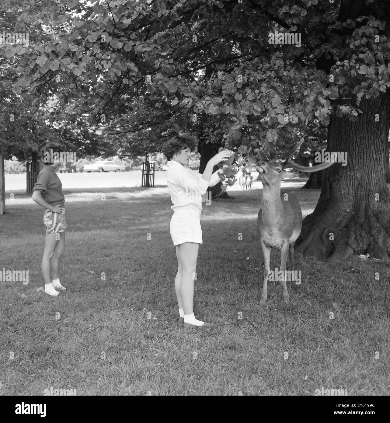 Negative june Black and White Stock Photos & Images - Alamy