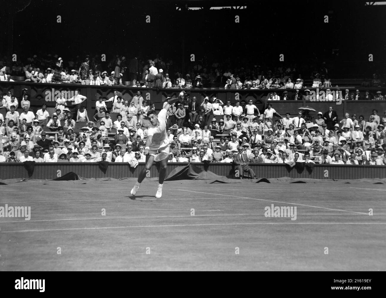 Barry mackay hi-res stock photography and images - Alamy