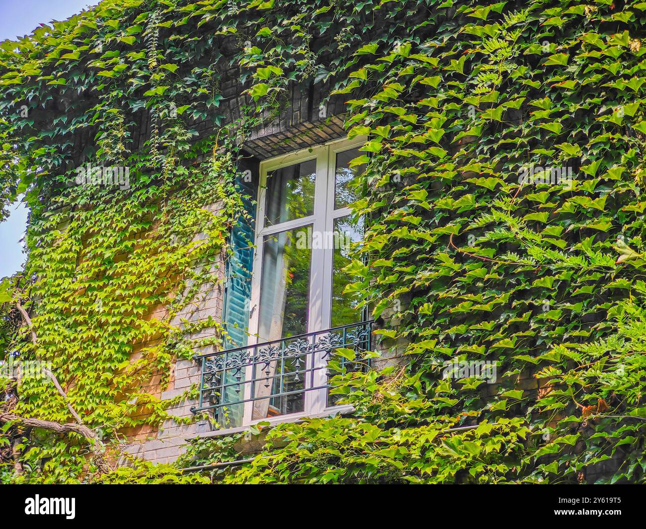 Montmartre, Paris. View of window with French balcony with ivy on the ...