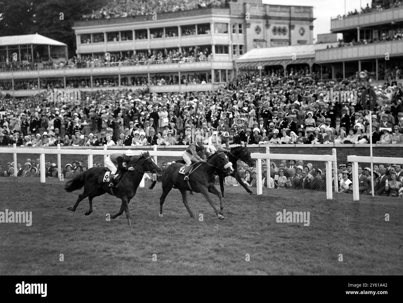 Pheidippides hi-res stock photography and images - Alamy