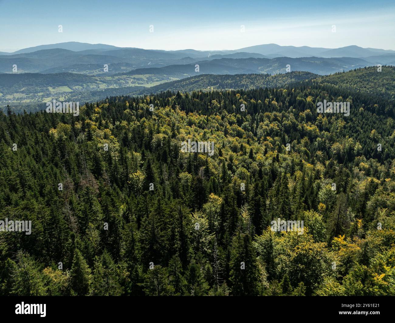 Little Beskids mountain range.Aerial drone view of Rzyki Village in ...