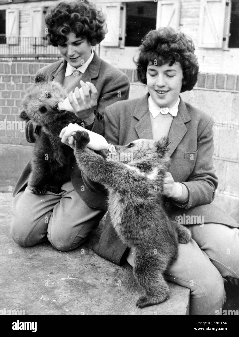 FOYLE J WHEELER A WHIPSNADE BEARS / 10 MAY 1960 Stock Photo - Alamy