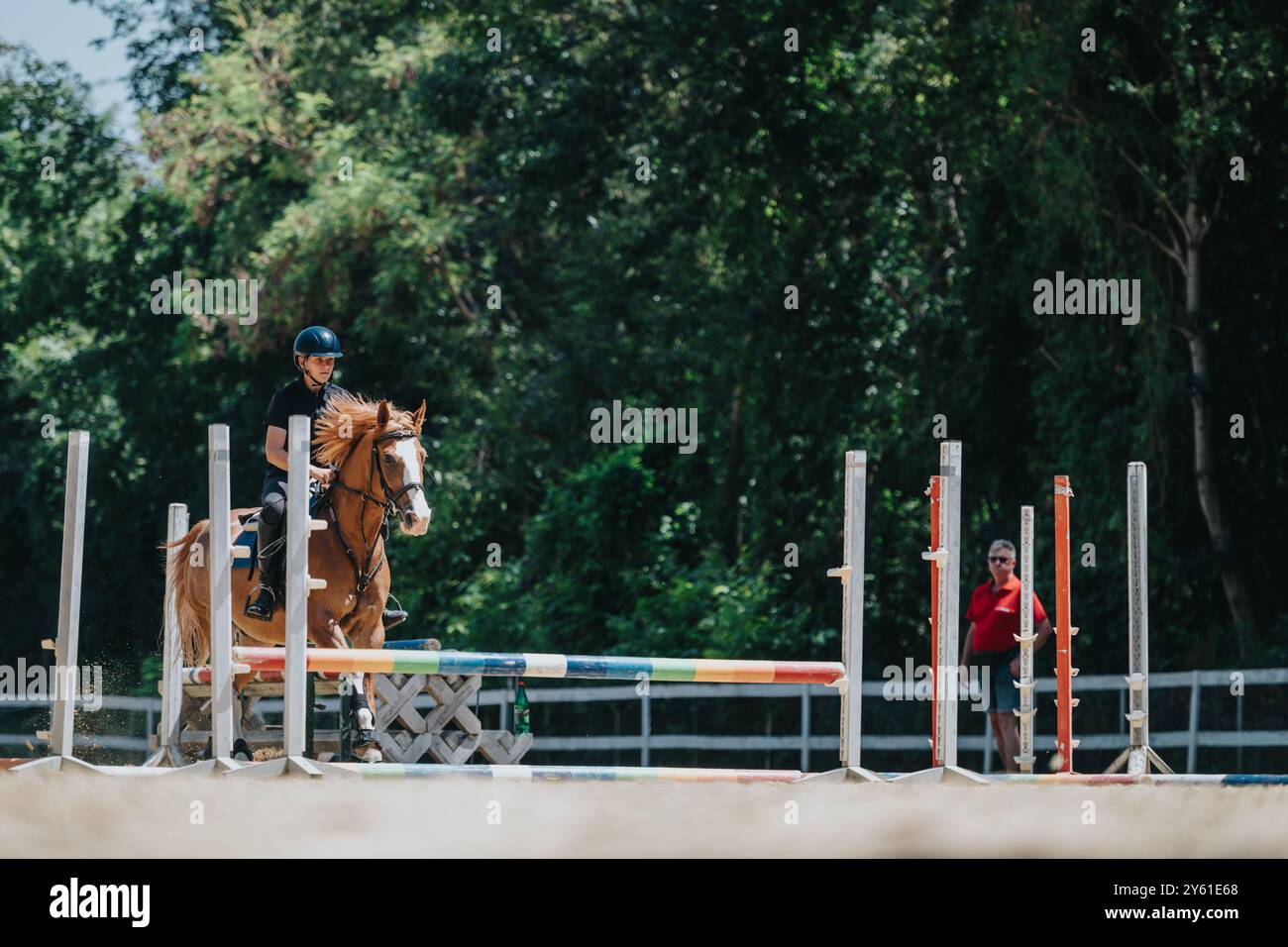 Equestrian rider jumping horse over obstacle at outdoor training arena ...
