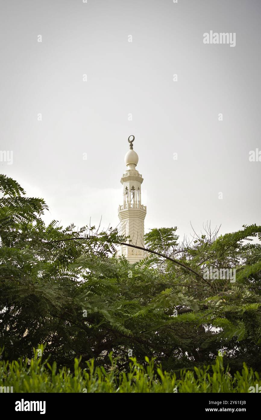 the beautiful nature park and minaret at cairo on sunny day Stock Photo ...