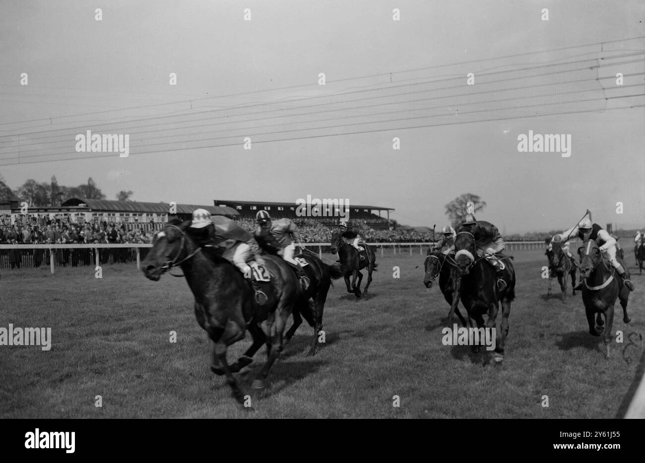 Pardon of the horses hi-res stock photography and images - Alamy