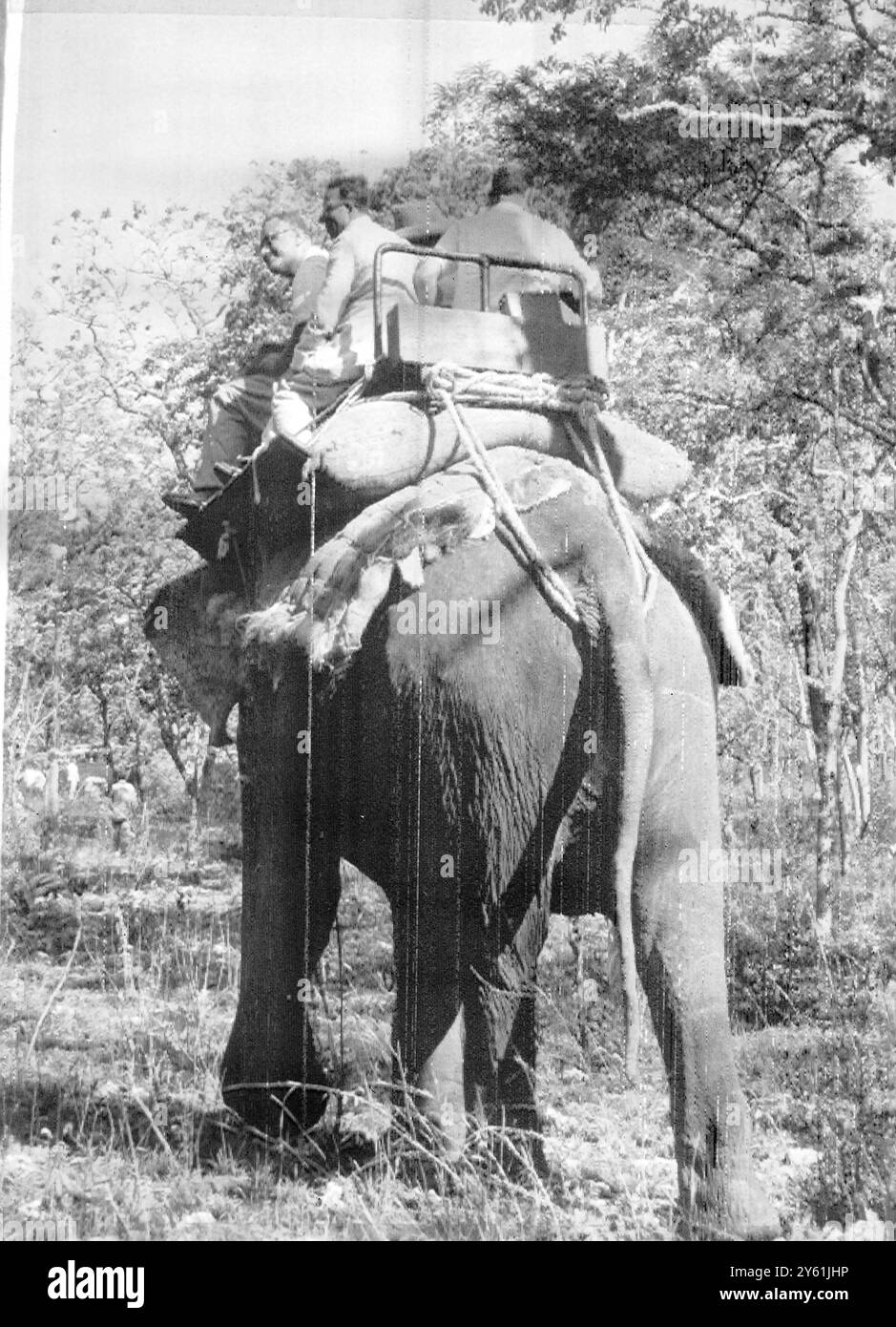 PRESIDENT NASSER ON AN ELEPHANT IN INDIA / 8 APRIL 1960 Stock Photo - Alamy