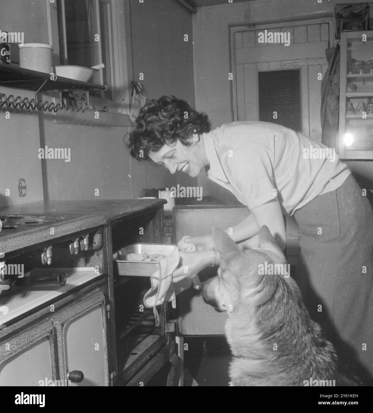 Lady pringle hi-res stock photography and images - Alamy