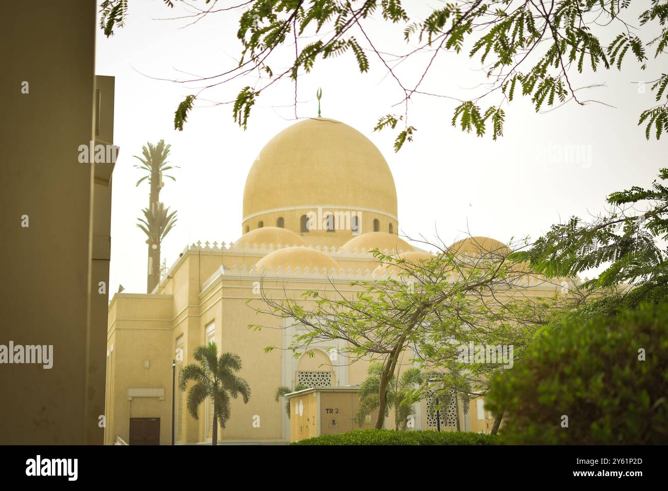 the exterior view of mosque and green trees at cairo egypt on a day ...