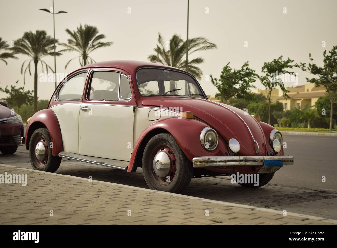 the vintage volkswagen beetle red cars at on sunny day Stock Photo - Alamy