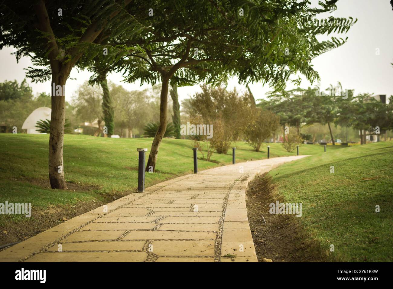 the beautiful nature park and green tree with small road at cairo on ...