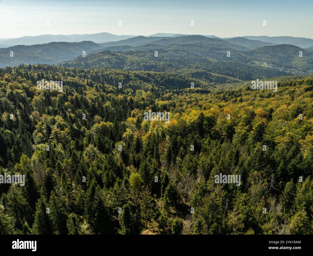 Praciaki hi-res stock photography and images - Alamy