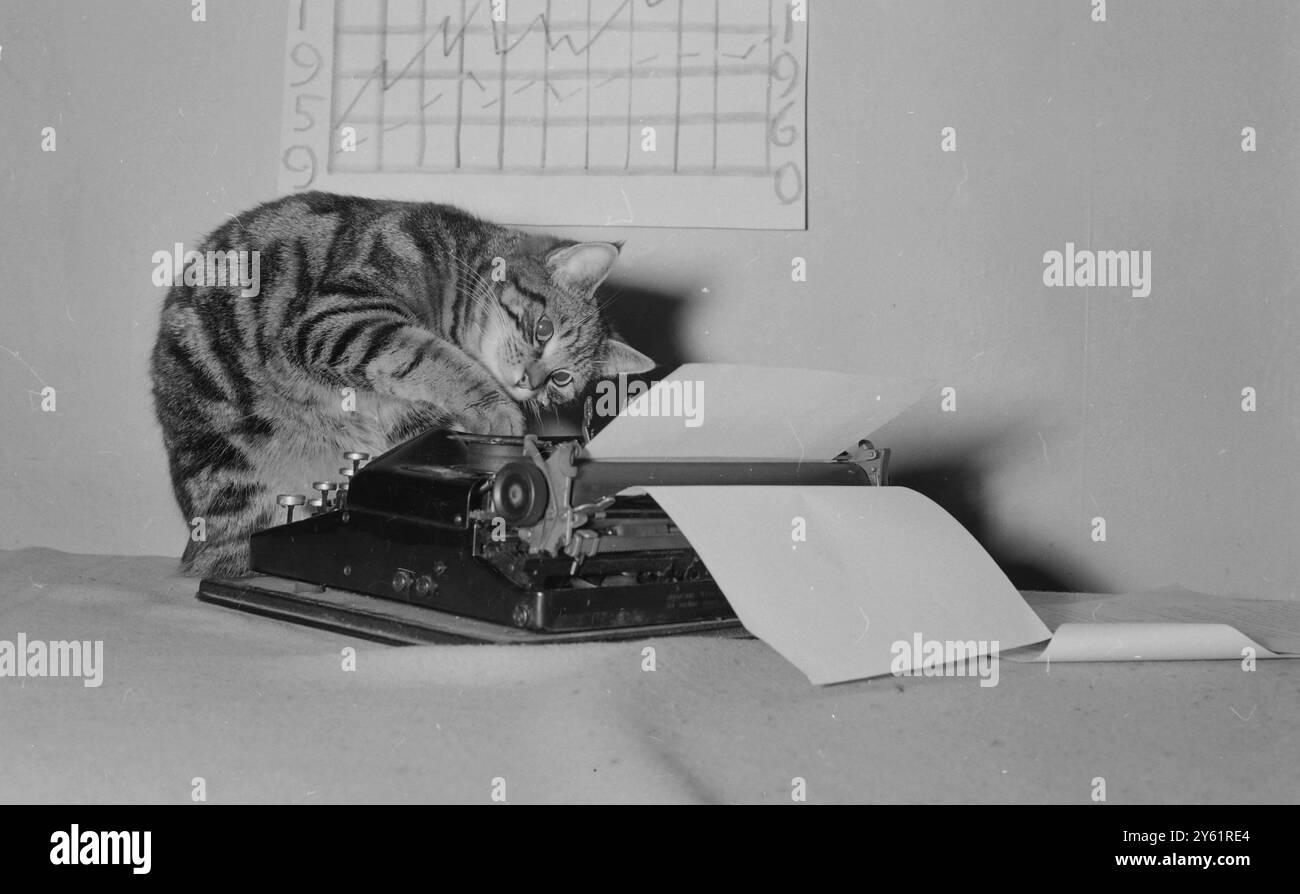 Typing news Black and White Stock Photos & Images - Alamy