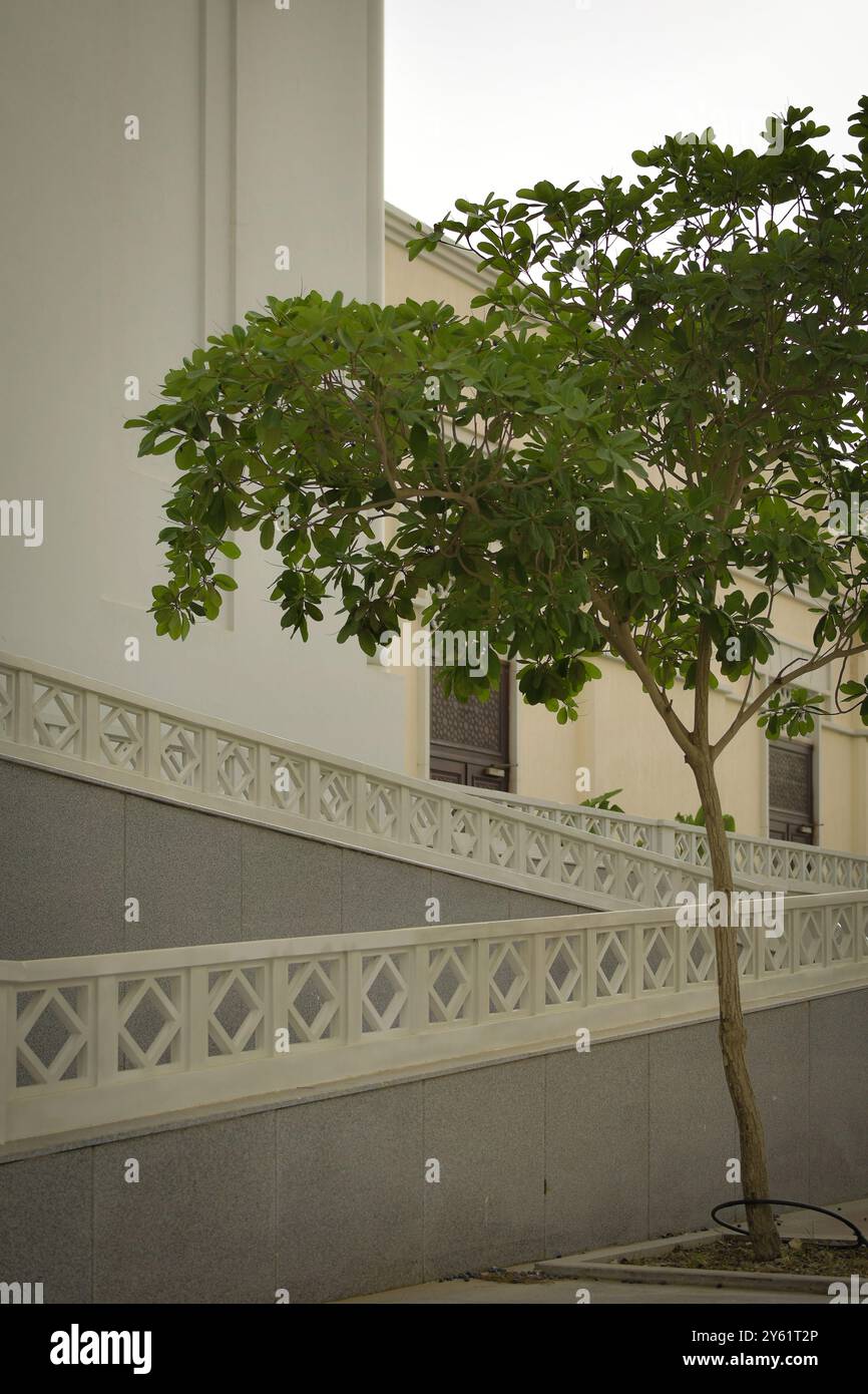 the exterior view of mosque and nature tree at cairo egypt on day Stock ...