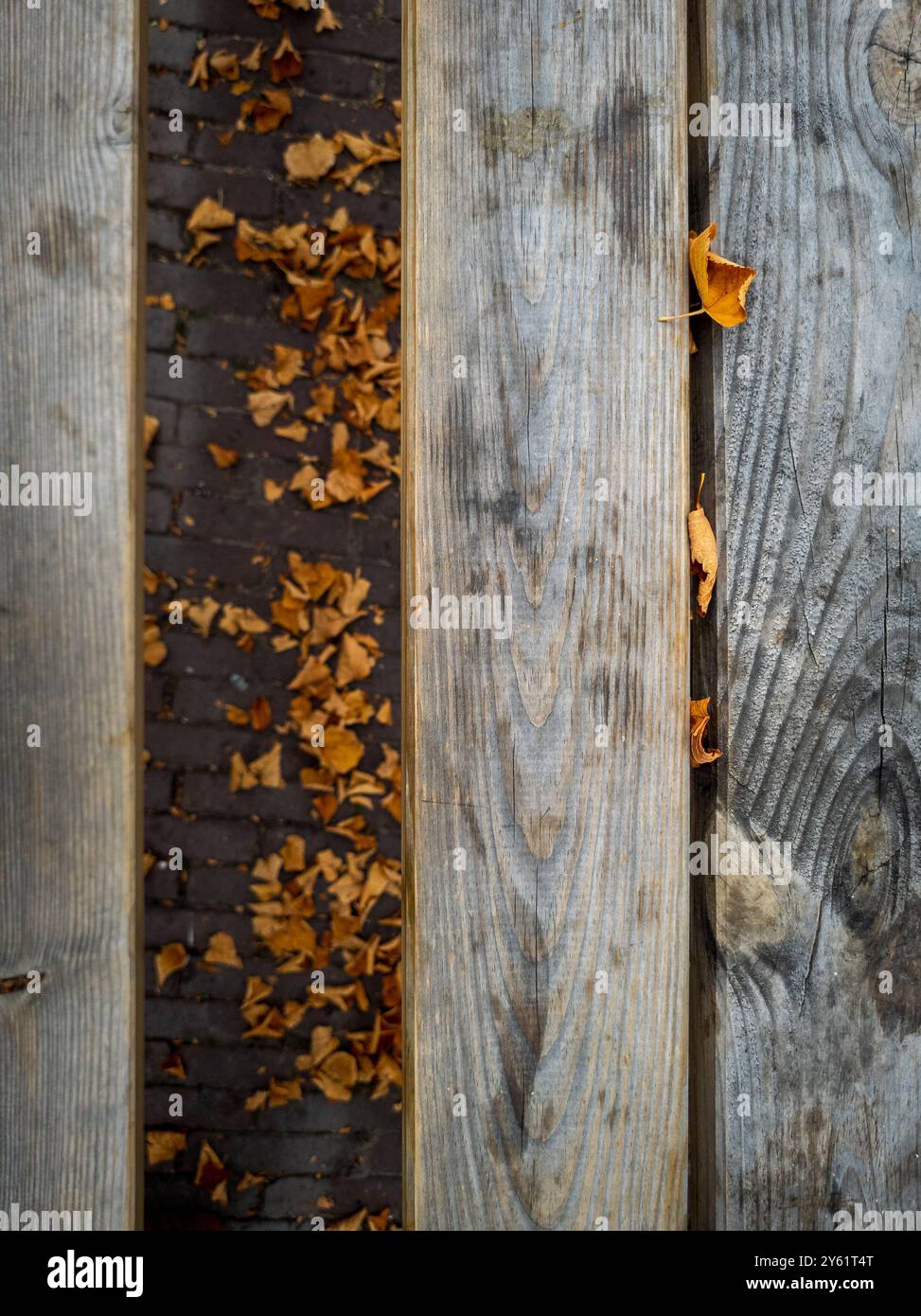 Autumn leaves on the red brick pavement under the wooden table and ...