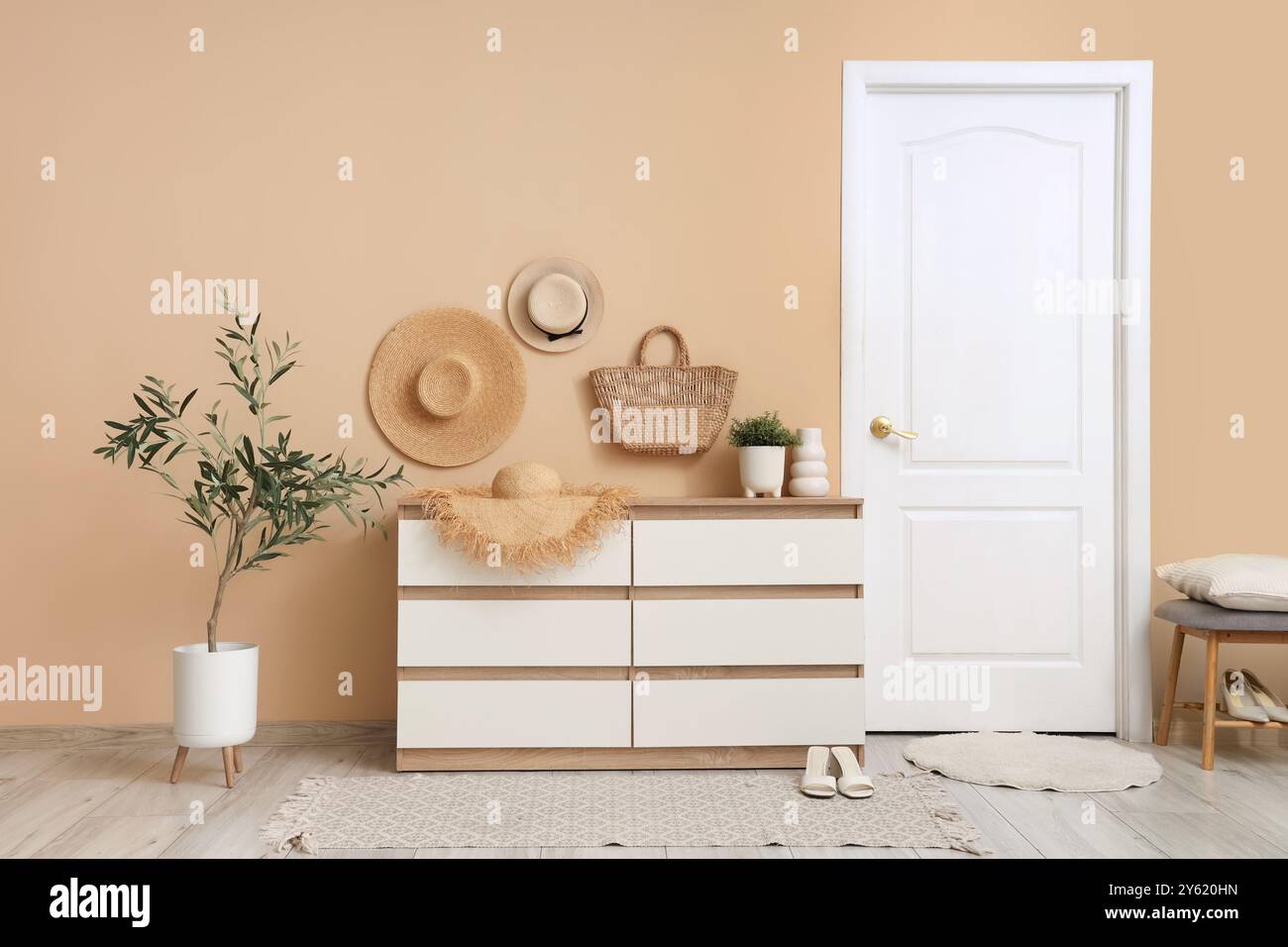 Chest of drawers and decorative olive tree in interior of hallway Stock ...