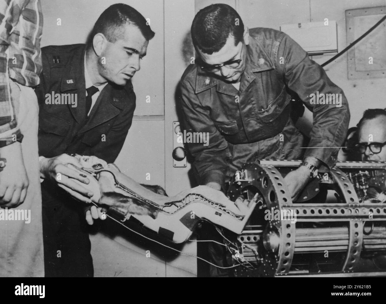 " MISS SAM " THE FEMALE MONKEY IS LIFTED FROM THE BIOPACK IN WHICH SHE ...