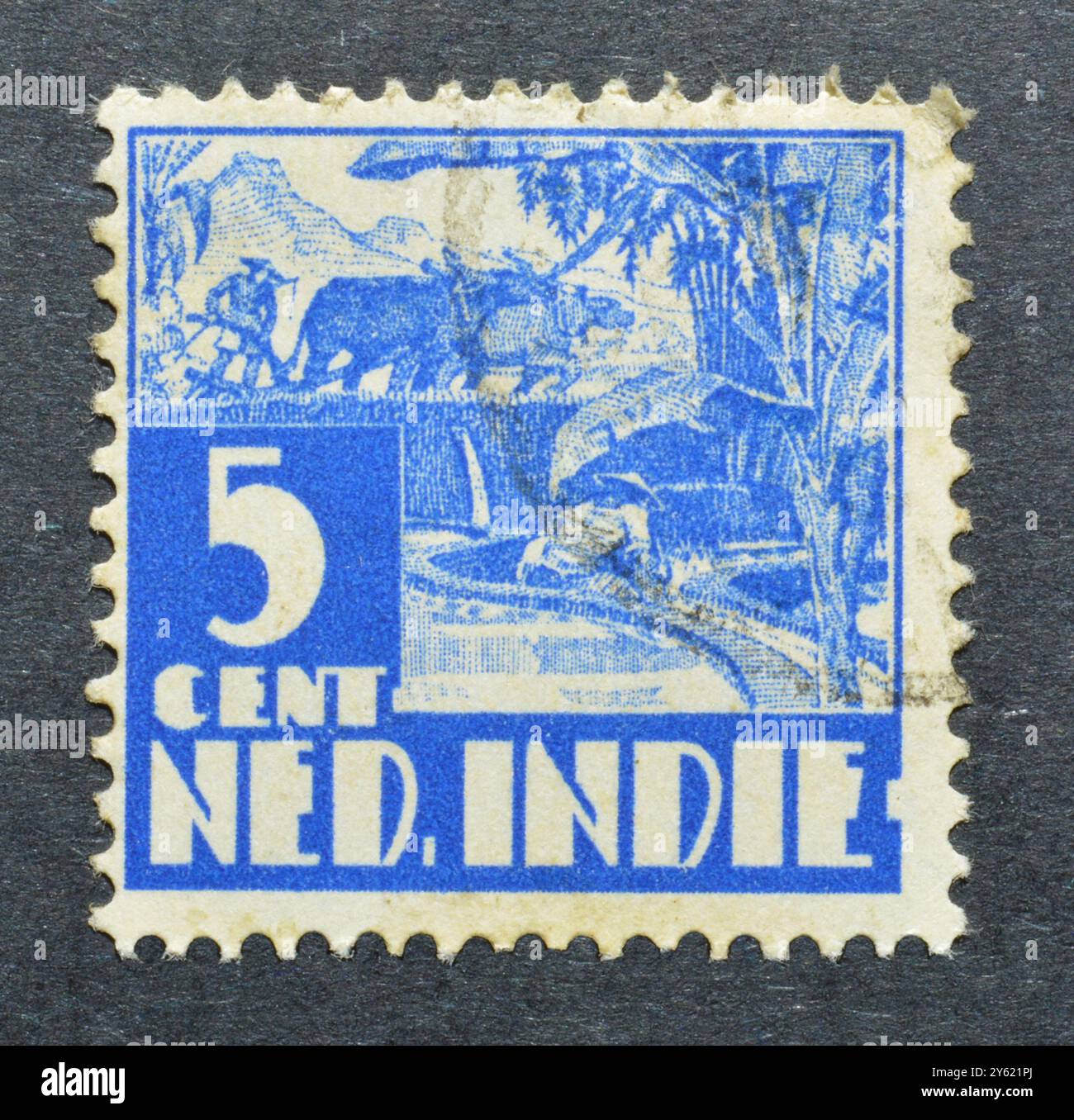 Cancelled postage stamp printed by Netherlands East Indies, that shows ...