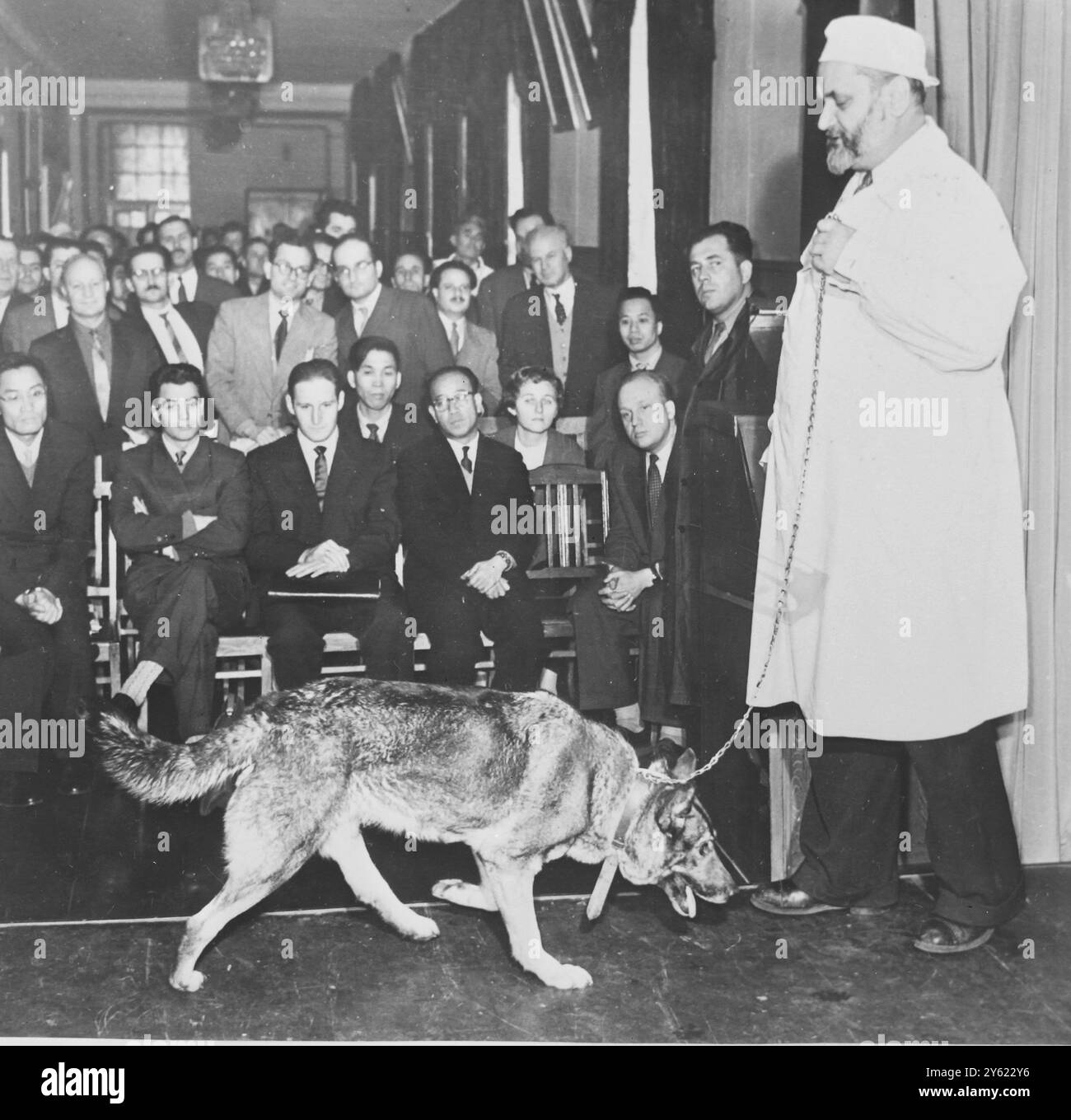 ONE OF THE DOGS PROFESSOR LAPCHINSKY HAD SEVERED AND THEN REATTACHED ...