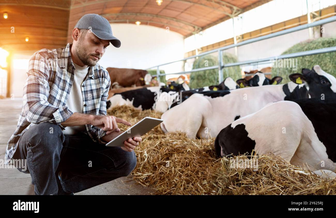 Male farmer with digital tablet inspecting cows at livestock. Smart ...