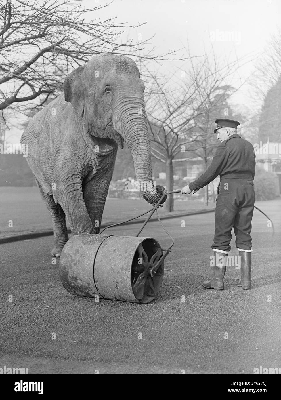 1940s spiv hi-res stock photography and images - Alamy