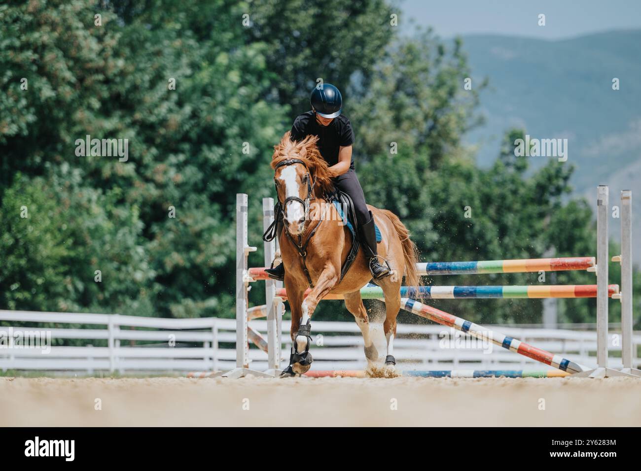 Equestrian rider on a chestnut horse jumping over colorful hurdles in ...