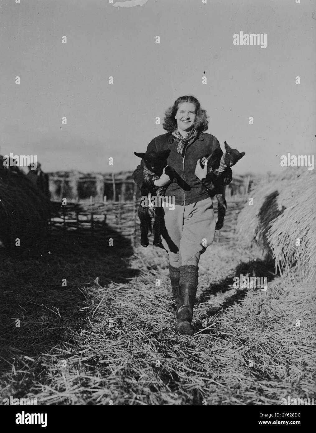 Shepherd girl Miss Platt, whose Christian name is Mary carrying newly ...