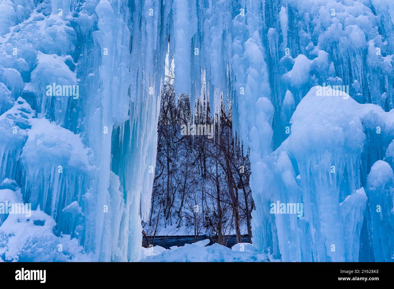 Huge frozen icicles on the shore of a lake Stock Photo - Alamy