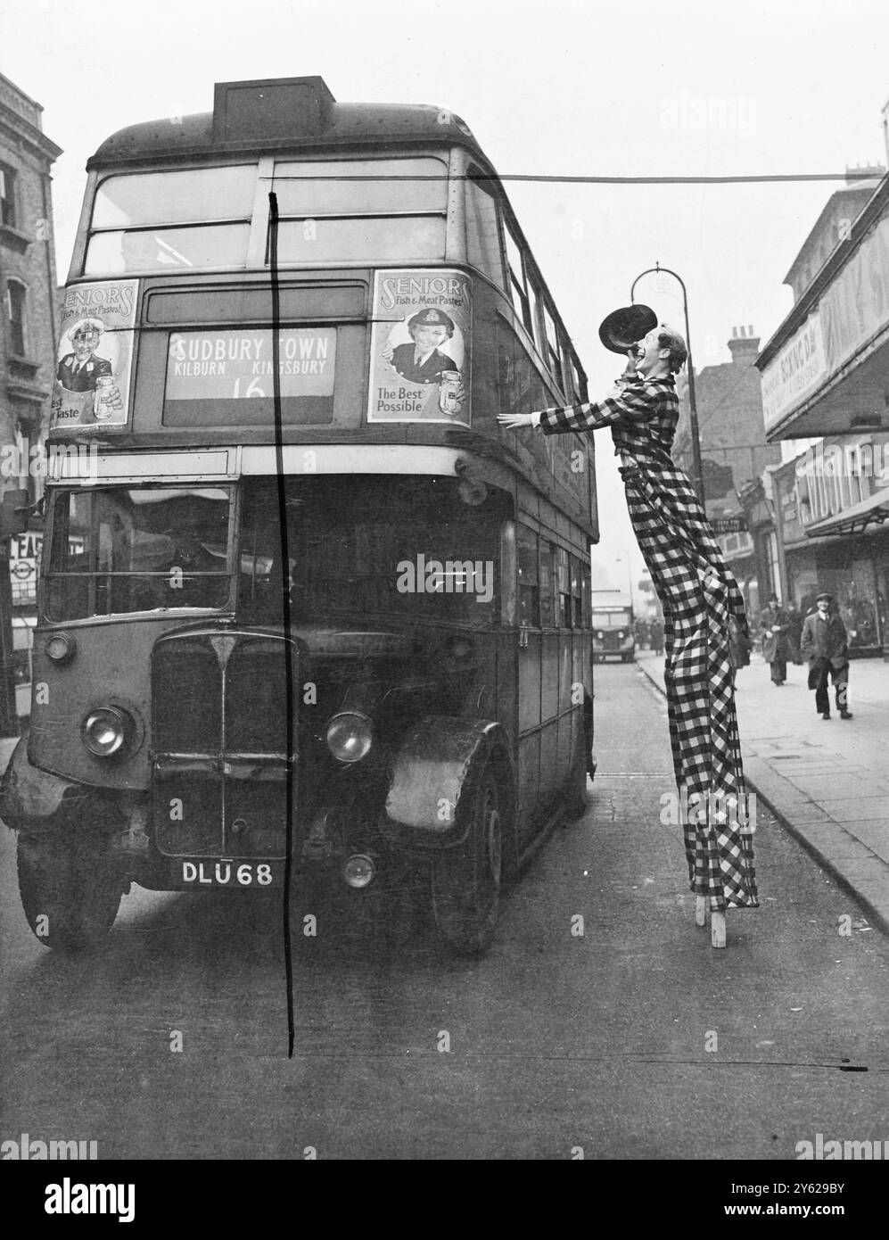 The driver of this bus will have a "tall" story to tell his mates back ...