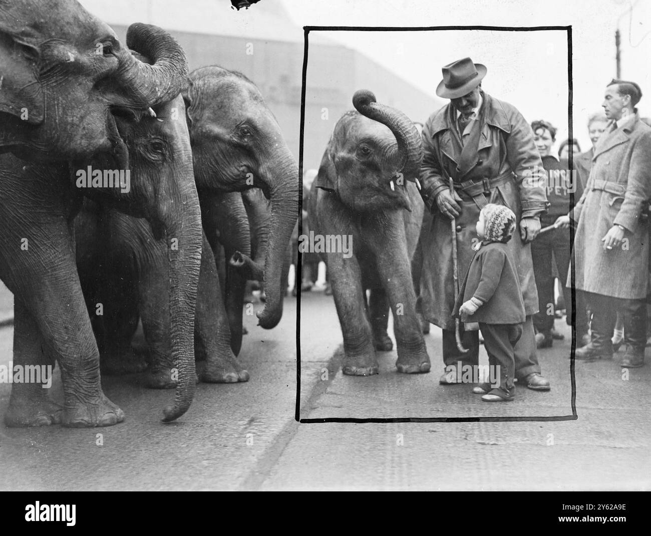 Two-and-a half-year-old Mary Allen was delighted to meet the baby of ...